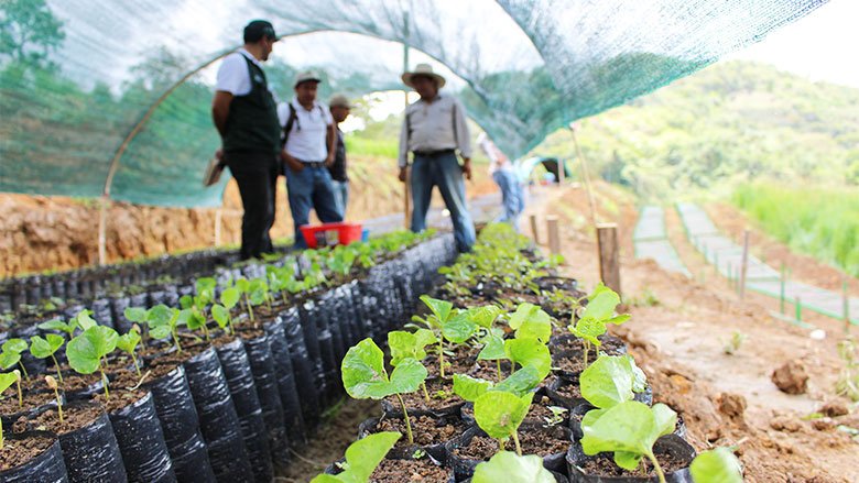 Agriculture in Liberia: Challenges And Innovations for Sustainable ...