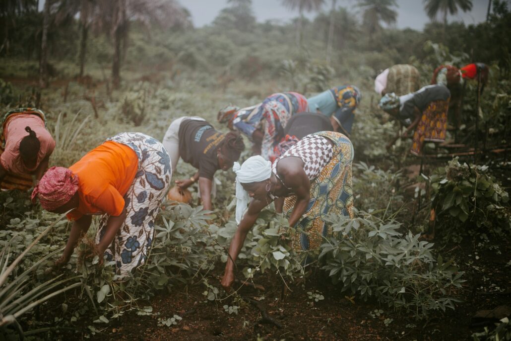 Congo'S Cultural Diversity: Exploring Ethnic Groups And Indigenous ...