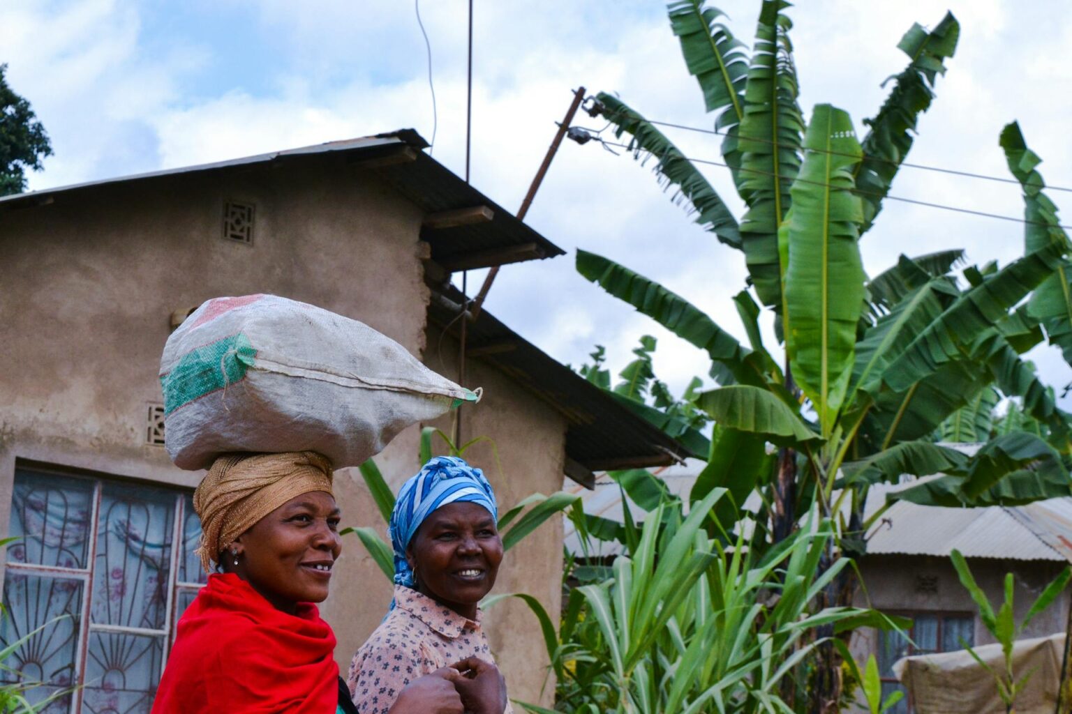 Indigenous Tribes of Tanzania: Traditions, Customs, And Heritage - Afro ...