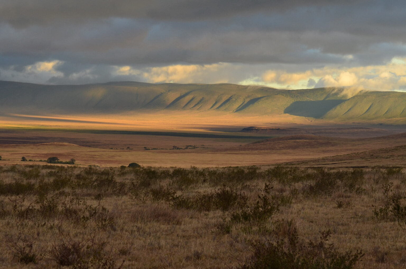Discovering Nigeria’S Geographic Diversity: From Rainforests to ...