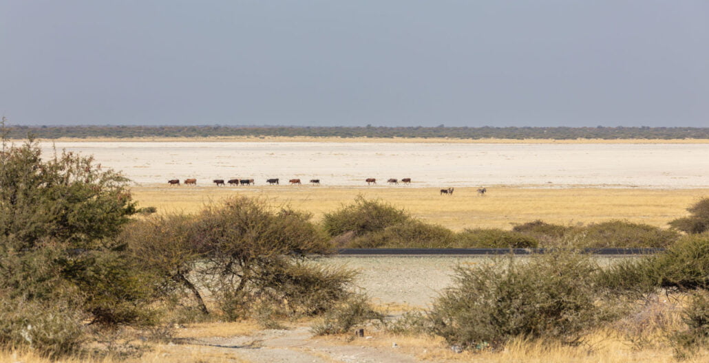 Land of the Kalahari: Unveiling Botswana's Unique Geography - Afro ...