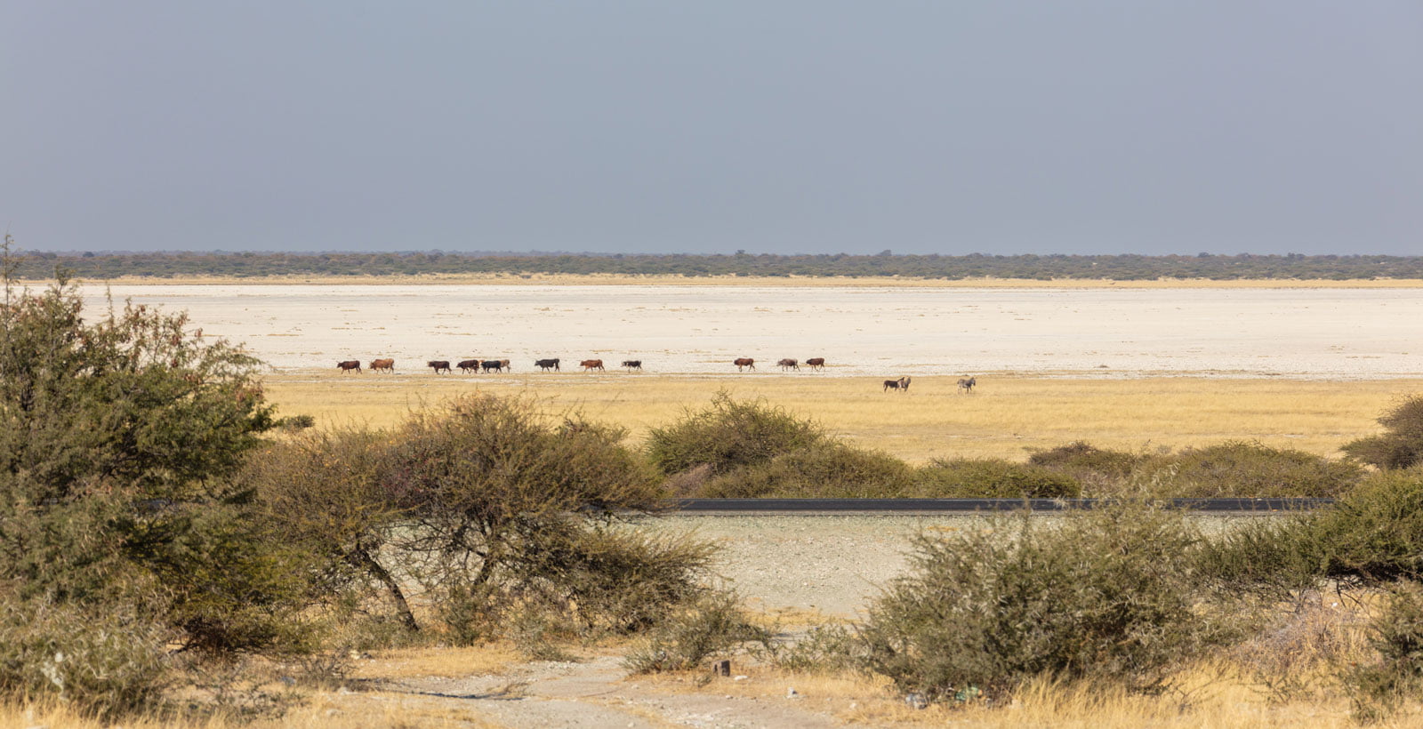 Land of the Kalahari: Unveiling Botswana's Unique Geography - Afro ...