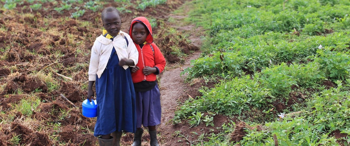 Sustainable Farming Practices in Libya: Enhancing Resilience And Food ...