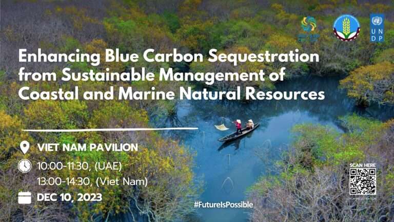 Sustainable Management of Natural Resources in Chad: Balancing ...