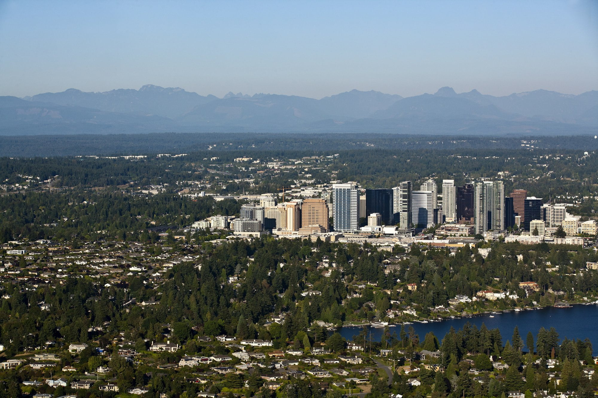 Population Dynamics in Libya: Trends, Challenges, And Opportunities ...