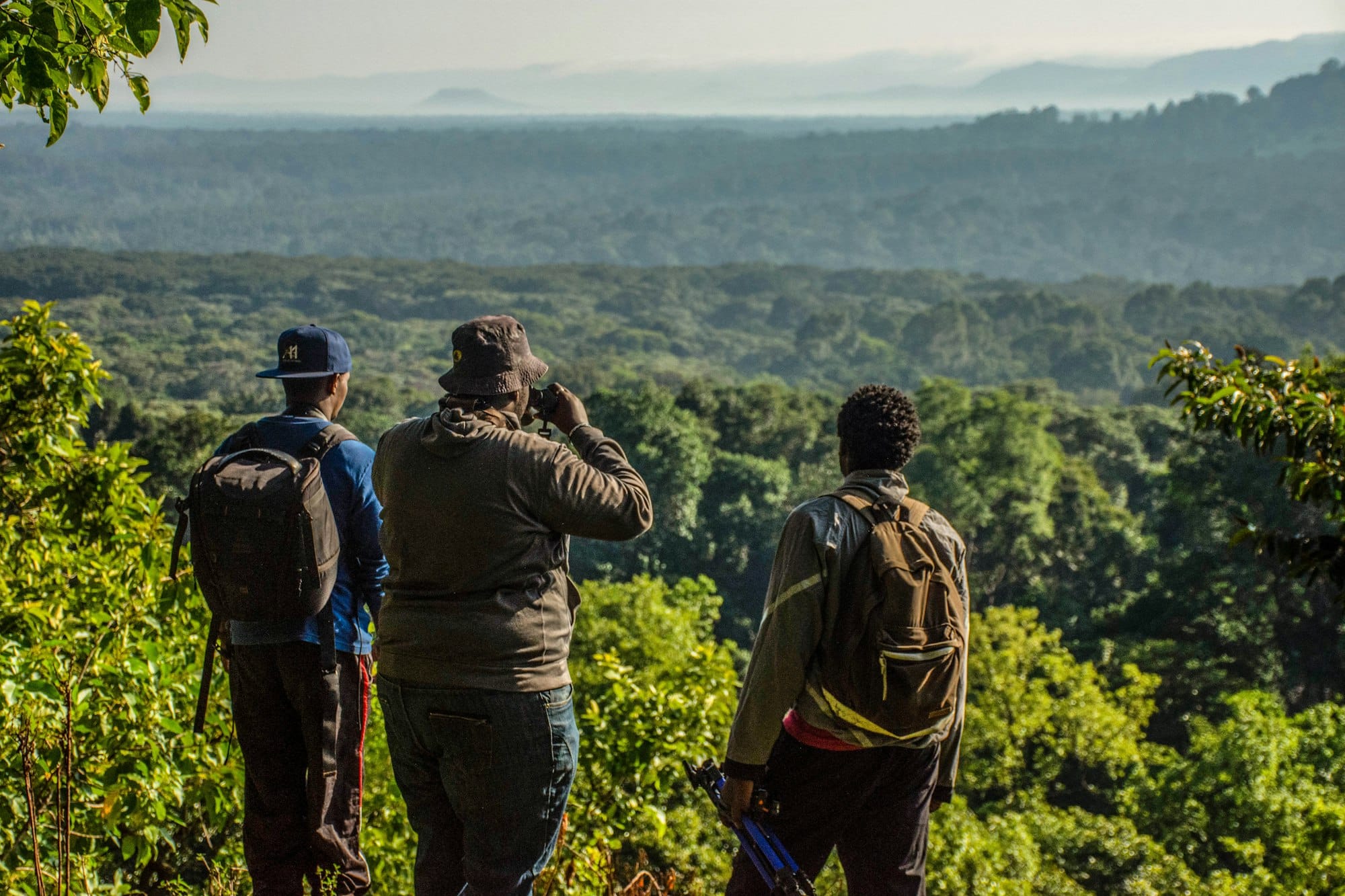 Discovering Gabon'S Geographic Diversity: From Dense Rainforests to ...