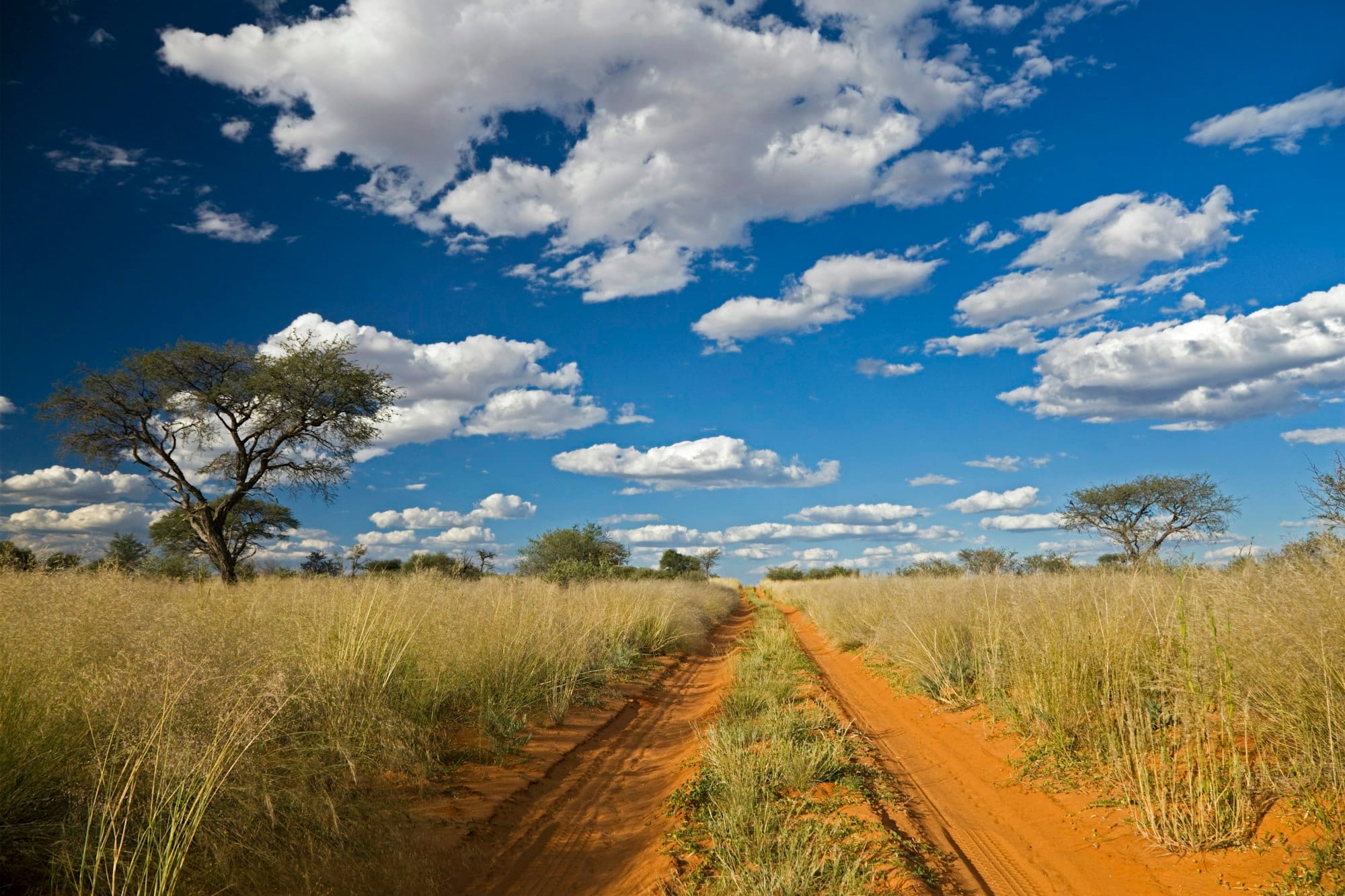 Land of the Kalahari: Unveiling Botswana's Unique Geography - Afro ...