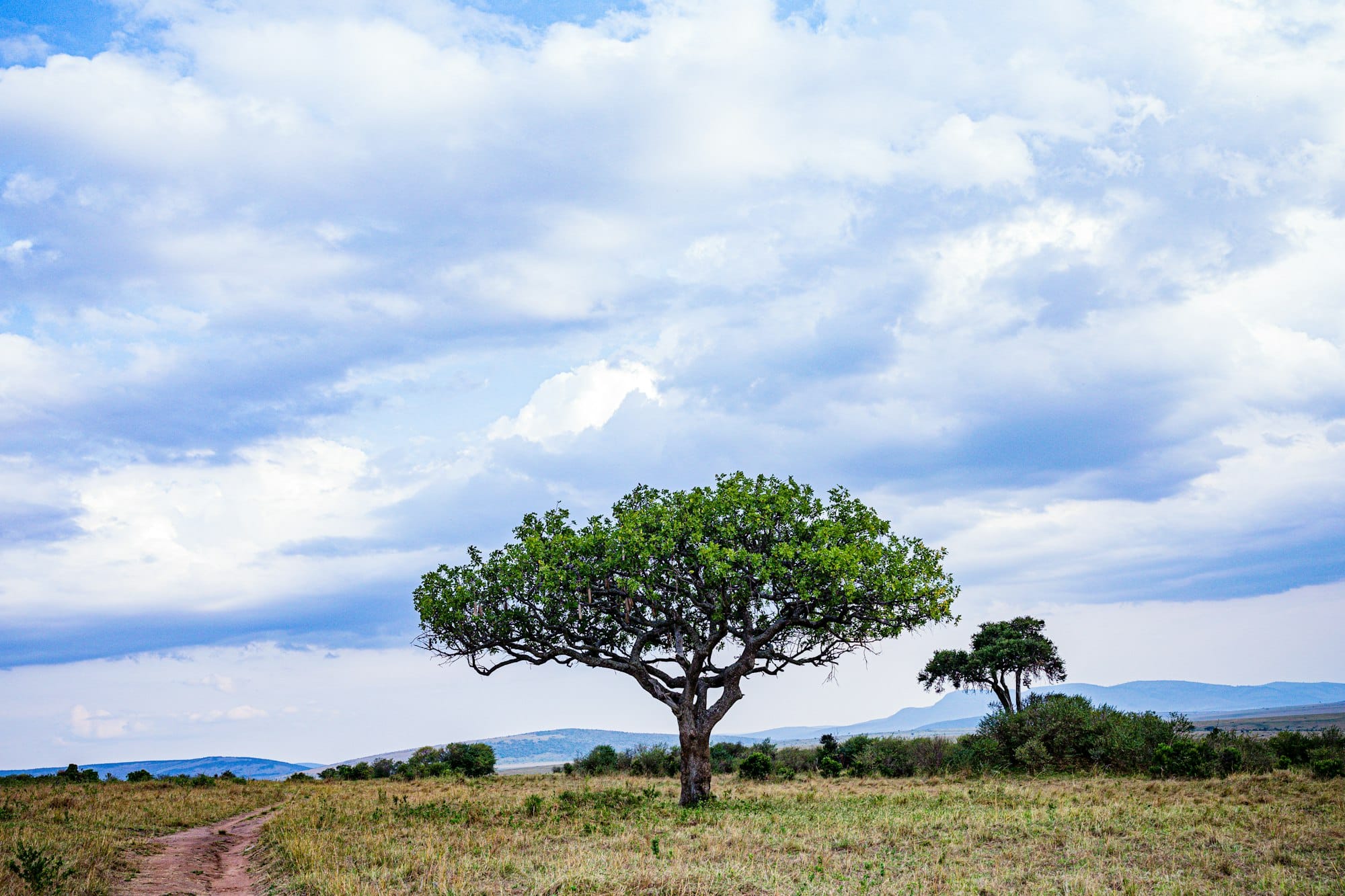 Discovering Chad'S Geographic Diversity: From Saharan Deserts to Sub ...
