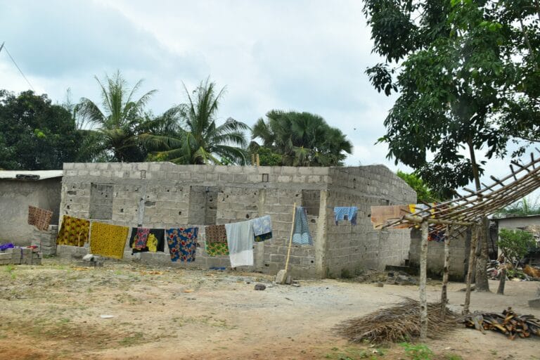 Tracing the History of the Republic of the Congo: From Pre-Colonial ...