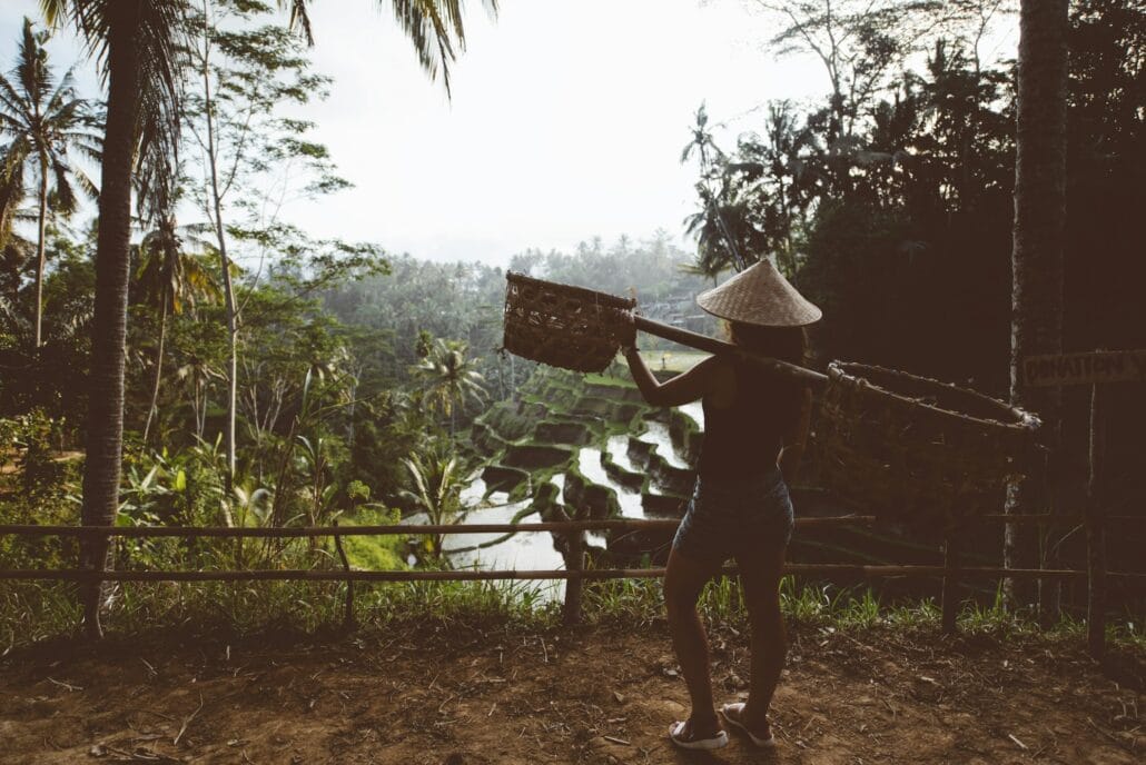 Agriculture in Gabon: Challenges And Innovations for Sustainable Growth ...