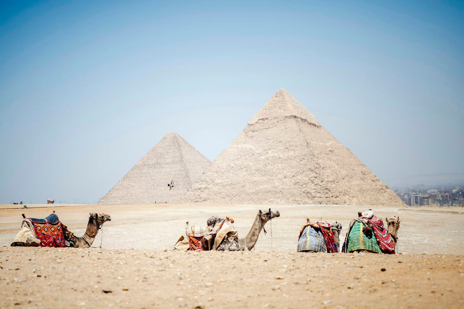 Exploring Egypt'S Ancient Wonders: Pyramids, Temples, And Tombs - Afro ...