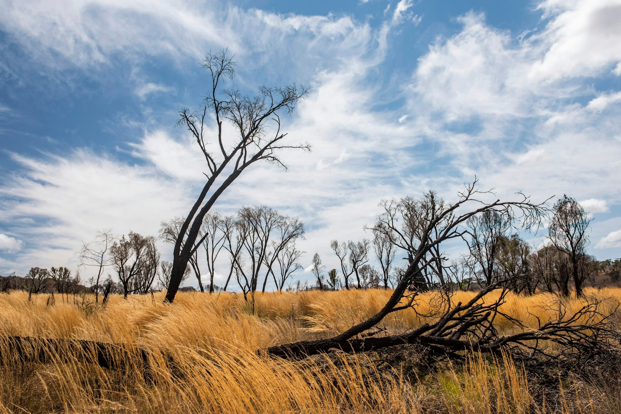 Understanding Madagascar'S Climate Patterns: A Guide for Travelers And ...