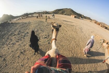 Tunisia's Cultural Diversity: Exploring Ethnic Groups and Indigenous ...