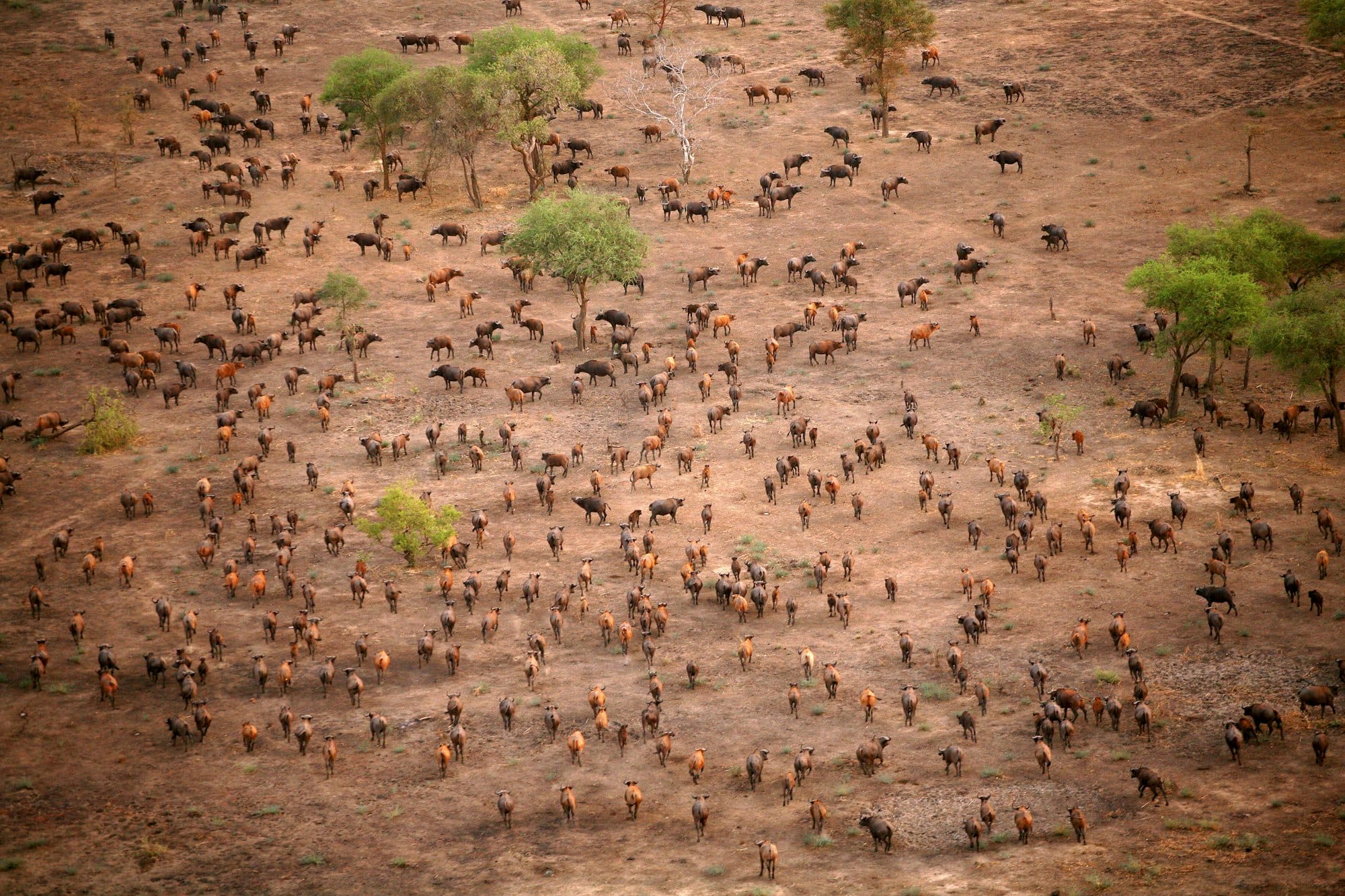 Exploring Chad'S Hidden Gems: Off-The-Beaten-Path Destinations for ...