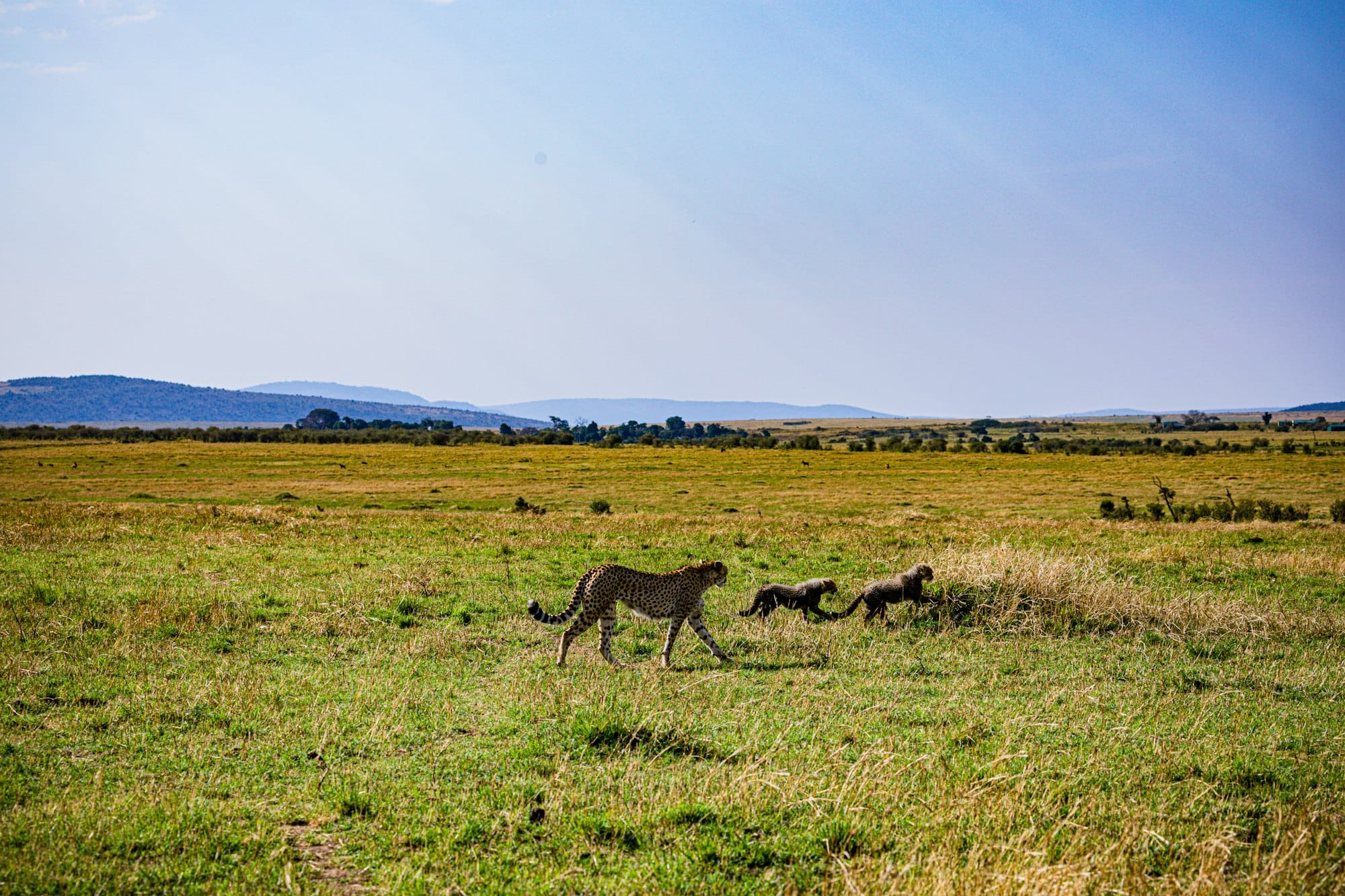 Discovering Kenya'S Geographic Diversity: From Savannas to Mountains ...