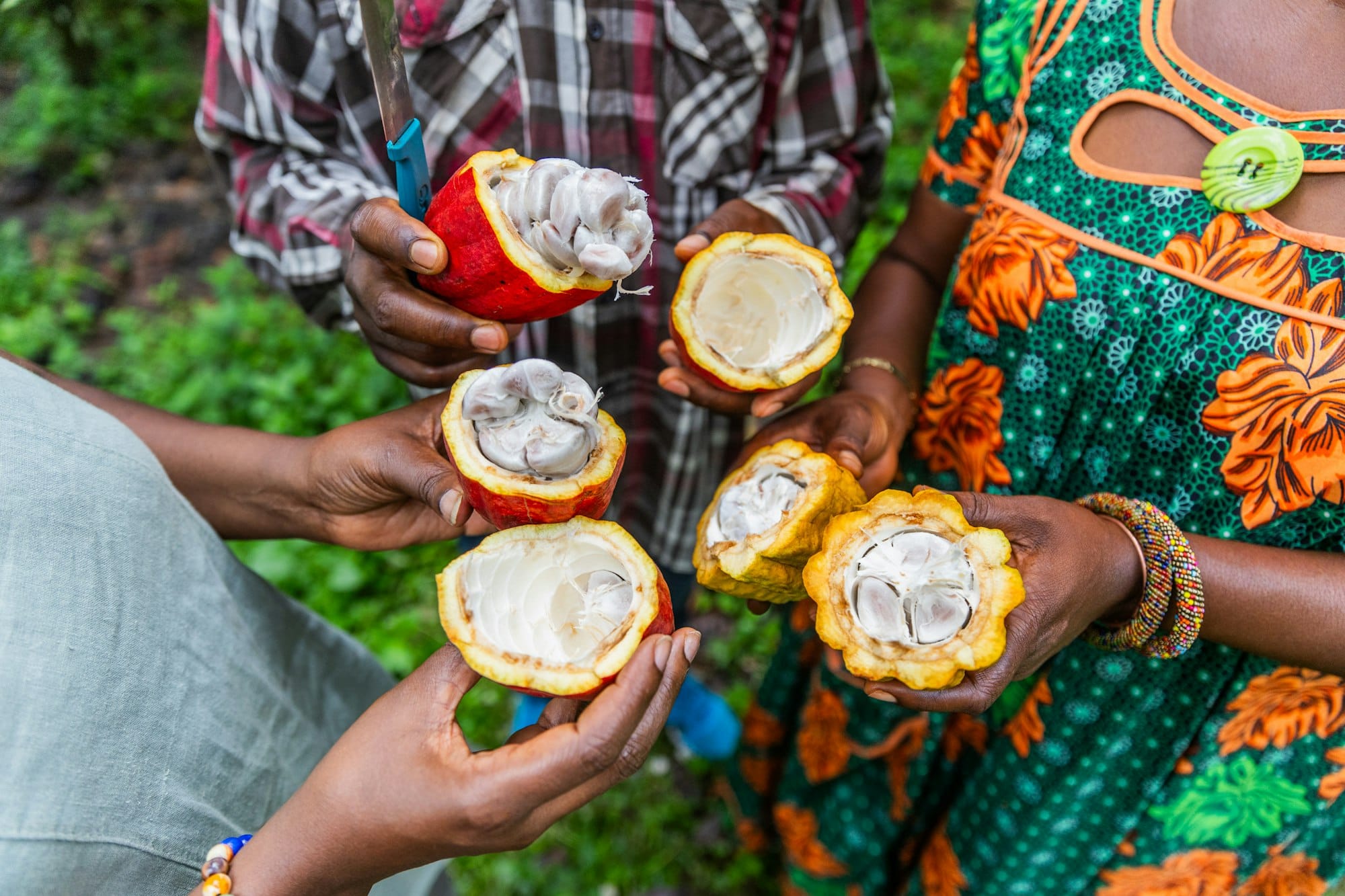 Colonial Legacy in the Drc: Impacts on Society And Culture - Afro Discovery