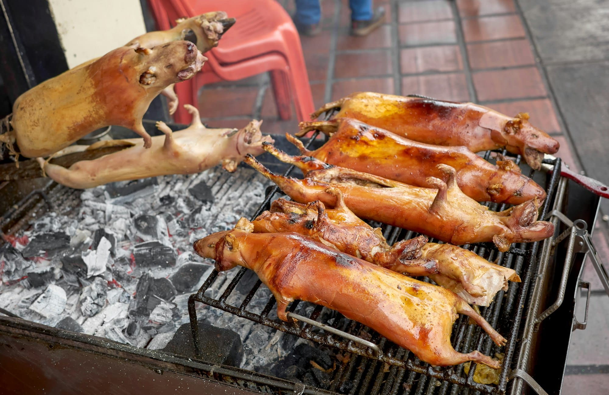 Cuisine of Guinea-Bissau: A Culinary Journey Through Traditional Dishes ...