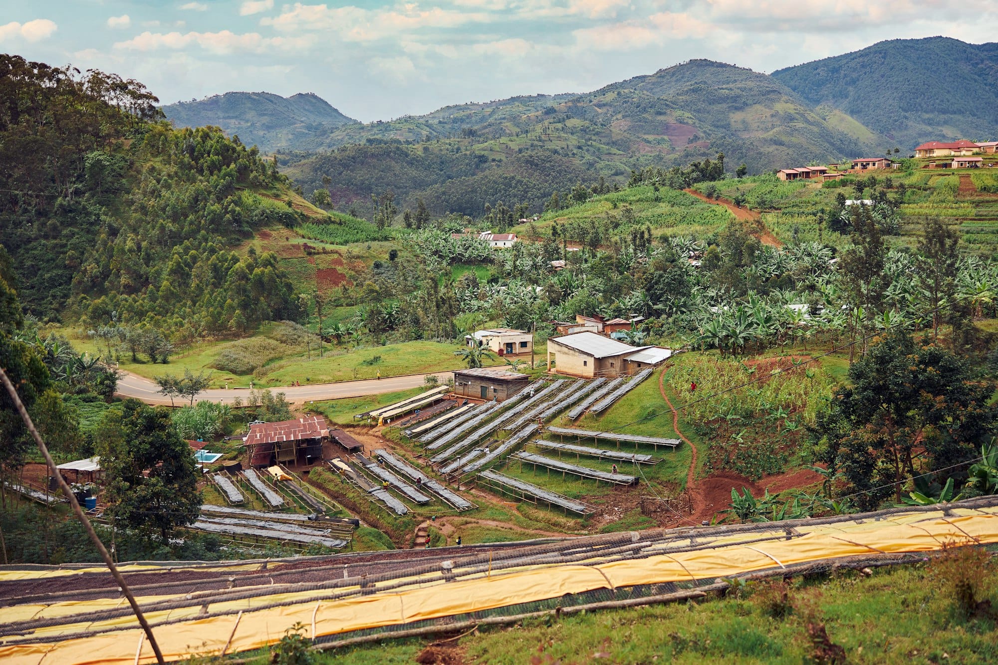 Sustainable Management of Natural Resources in the Democratic Republic ...