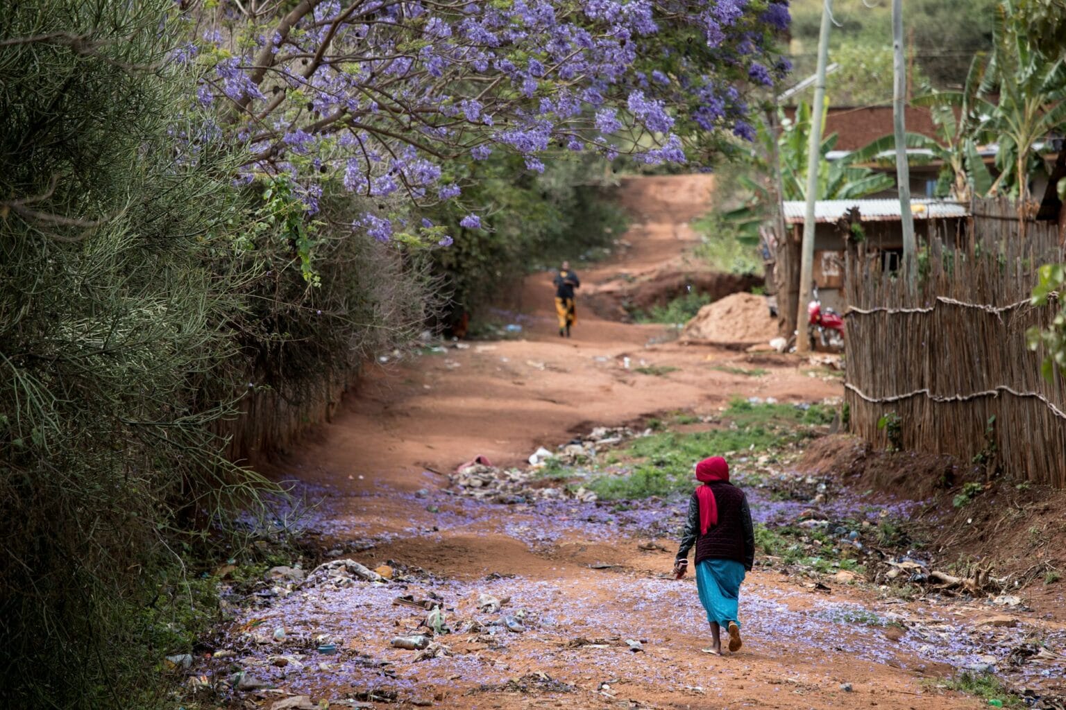 Ethiopia'S Cultural Diversity: Exploring Ethnic Groups And Indigenous ...