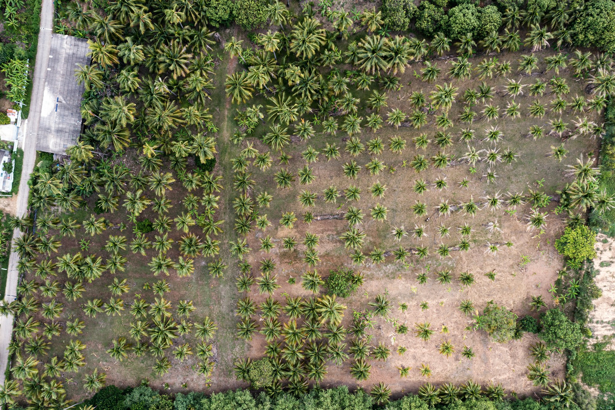 Understanding Lesotho'S Climate Patterns: A Guide for Travelers And ...