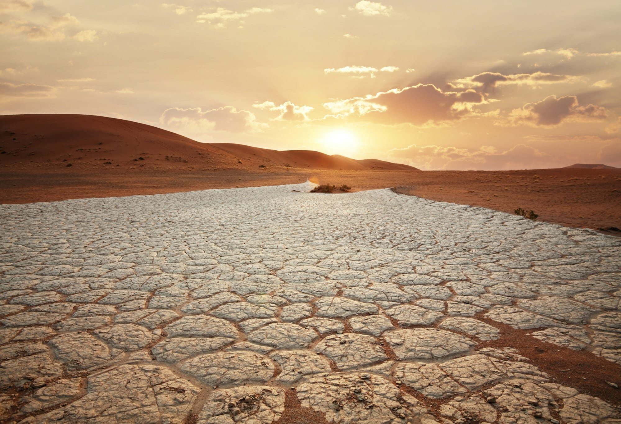 Understanding Chad'S Climate Patterns: A Guide for Travelers And ...