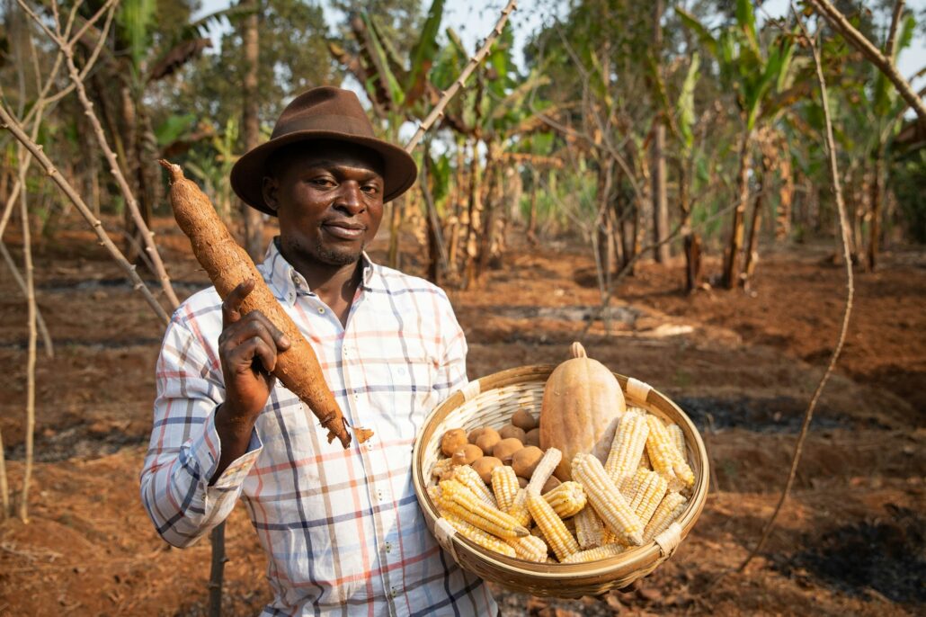 Unlocking Angola's Agricultural Potential: Tackling Food Security ...