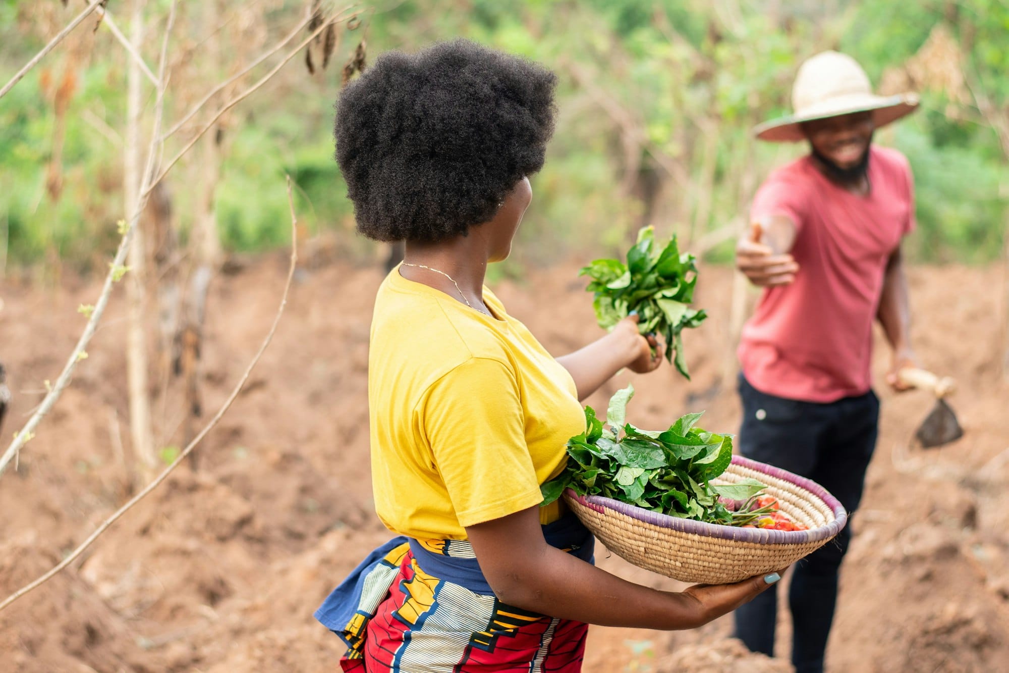 Cameroon'S Agricultural Landscape: Challenges And Opportunities for ...
