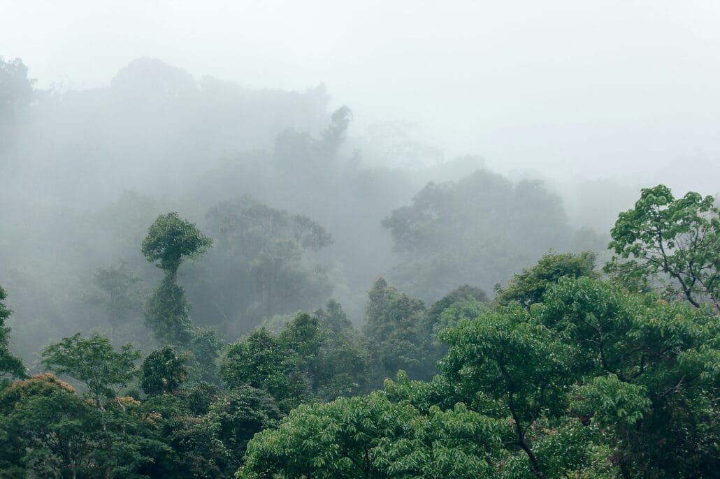 Understanding Malawi'S Climate Patterns: A Guide for Travelers And ...