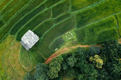 Agriculture in The Gambia: Challenges And Innovations for Sustainable ...