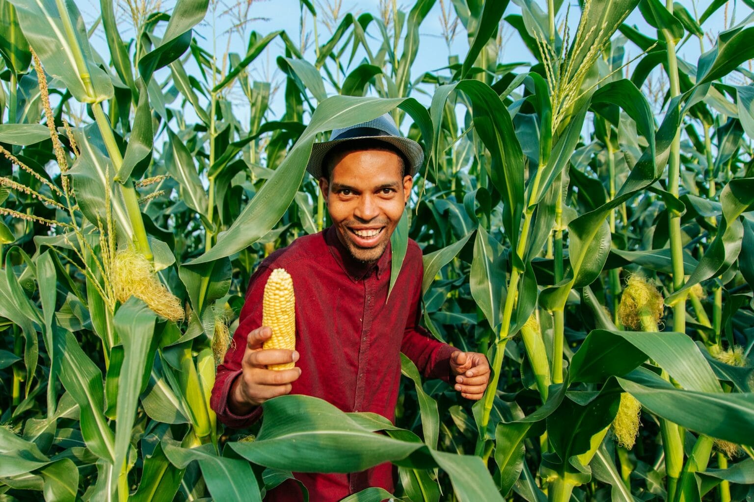 From Desert Sands to Fertile Fields: Unveiling Algeria's Agricultural ...