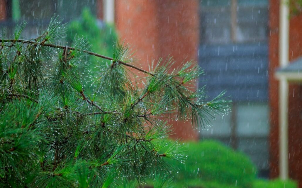 Understanding Equatorial Guinea'S Climate Patterns: A Guide for ...