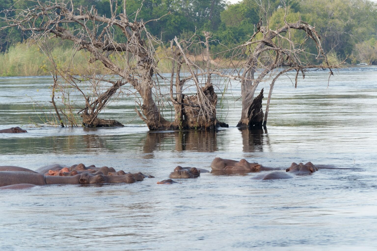 Exploring Zimbabwe'S Diverse Climate Zones: From Highlands to Lowveld ...