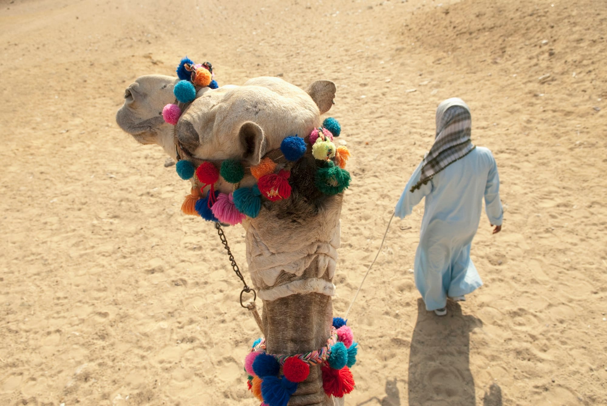 Tunisia's Cultural Diversity: Exploring Ethnic Groups and Indigenous ...