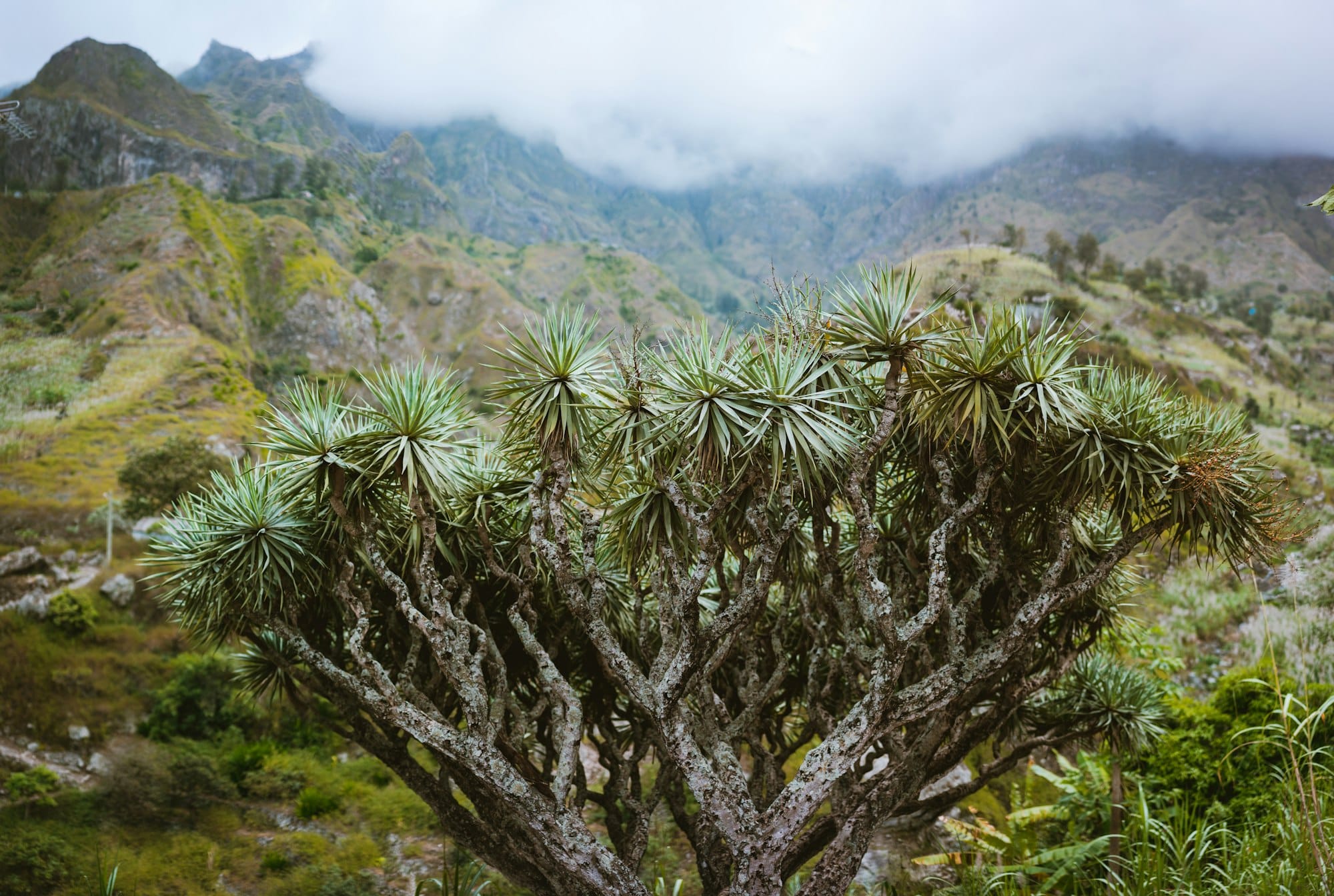 Tracing Cabo Verde'S History: From Colonization to Independence - Afro ...
