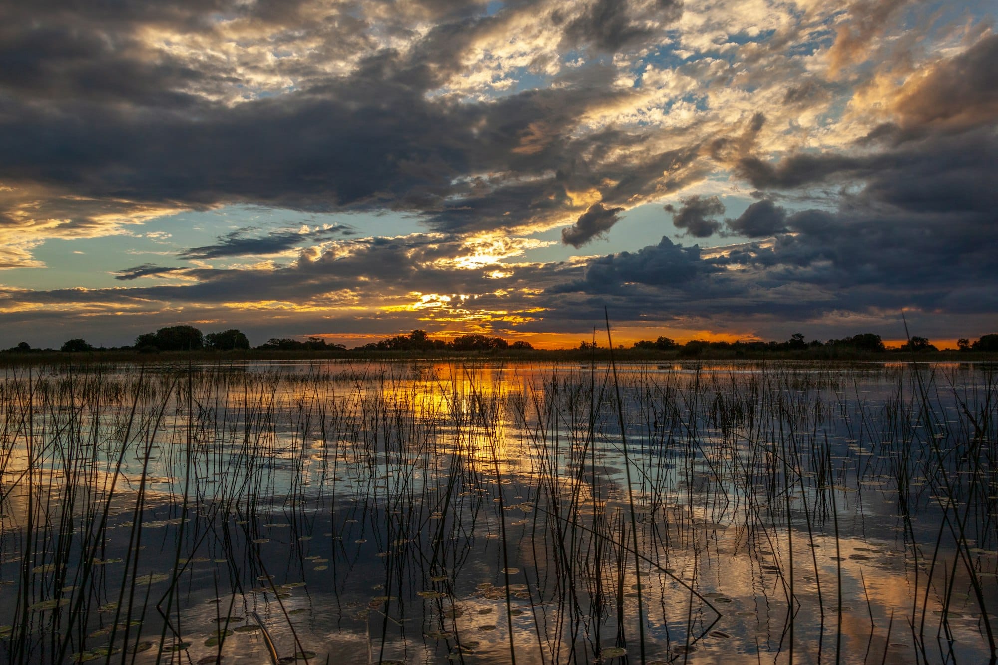 From Lush Deltas to Arid Deserts: Exploring Botswana'S Diverse Climate ...
