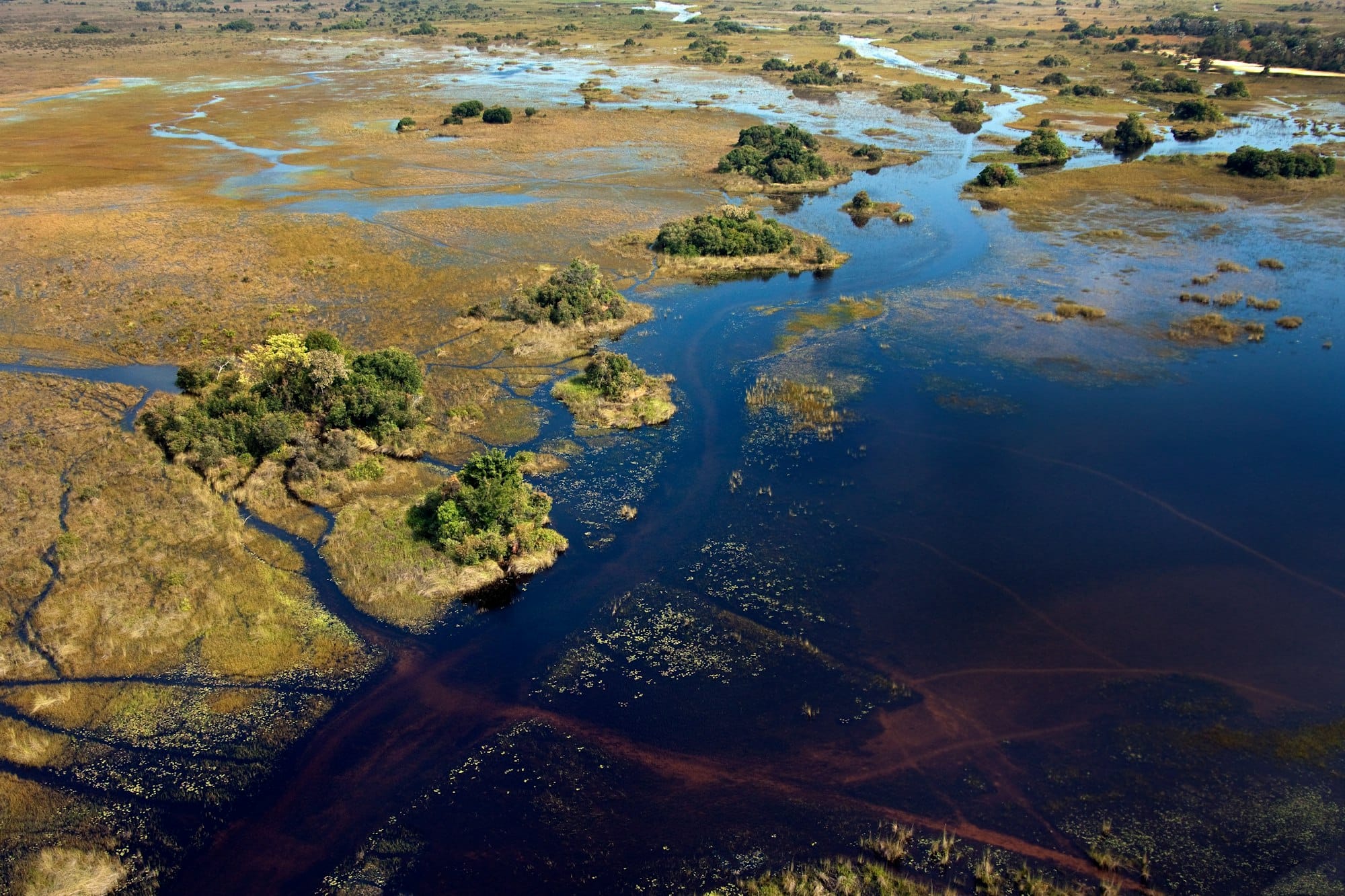 Wildlife Encounters And Natural Wonders: Unveiling the Beauty of ...