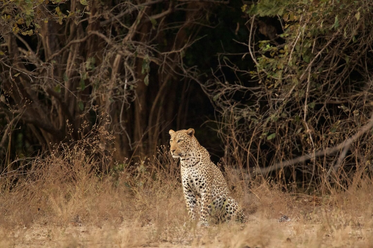 Exploring Zimbabwe'S Diverse Climate Zones: From Highlands to Lowveld ...