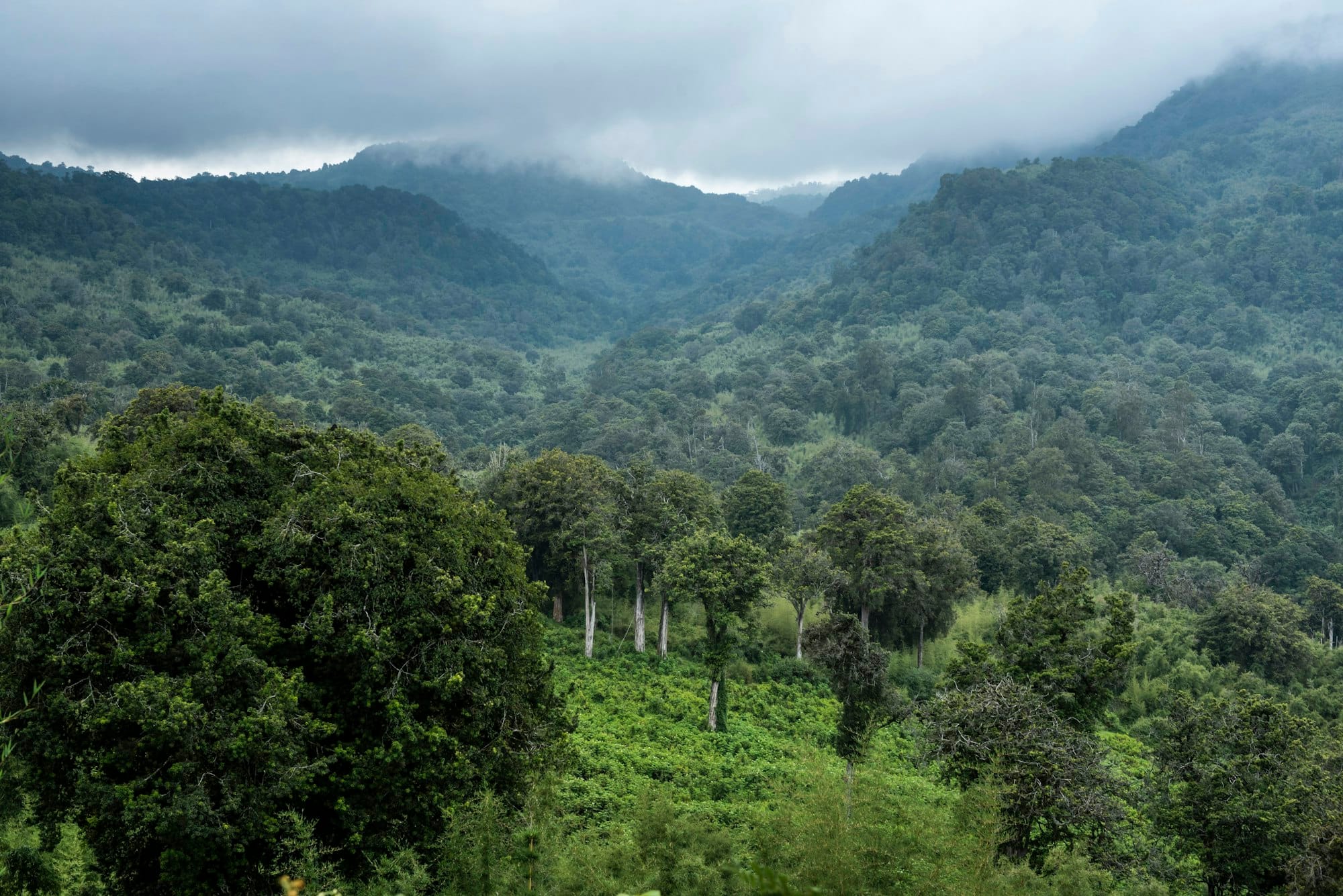 Discovering Kenya'S Geographic Diversity: From Savannas to Mountains ...