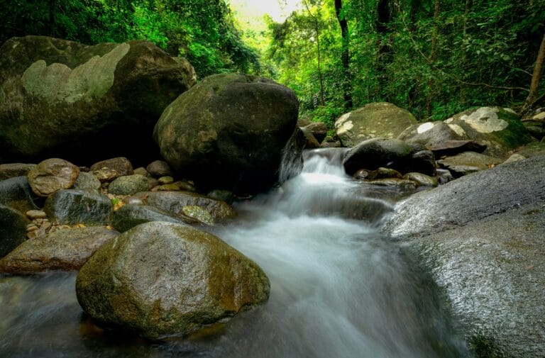 Understanding the Drc'S Climate Patterns: A Guide for Travelers And ...