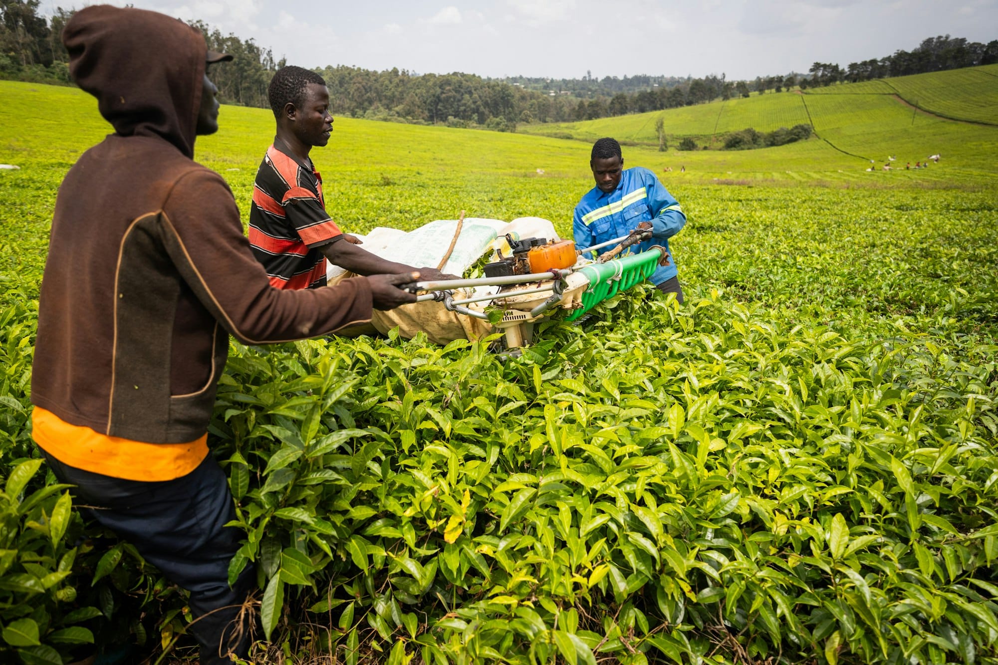Sustainable Farming Practices in Burundi: Boosting Agricultural Growth ...