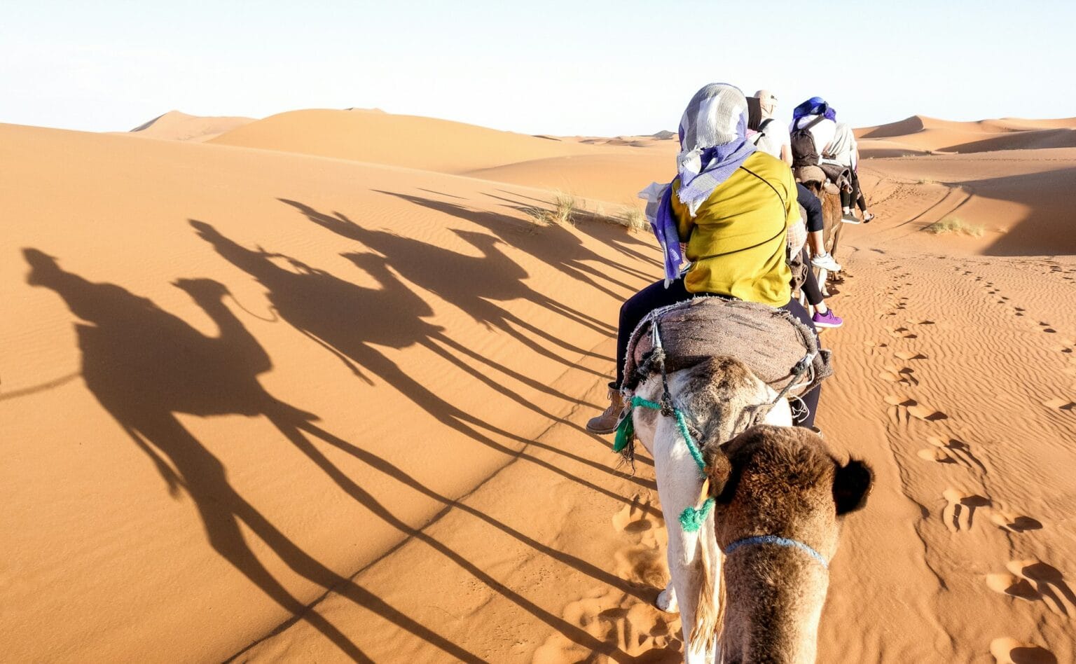 A Tapestry of Tongues: Exploring the Linguistic Diversity of Algeria ...