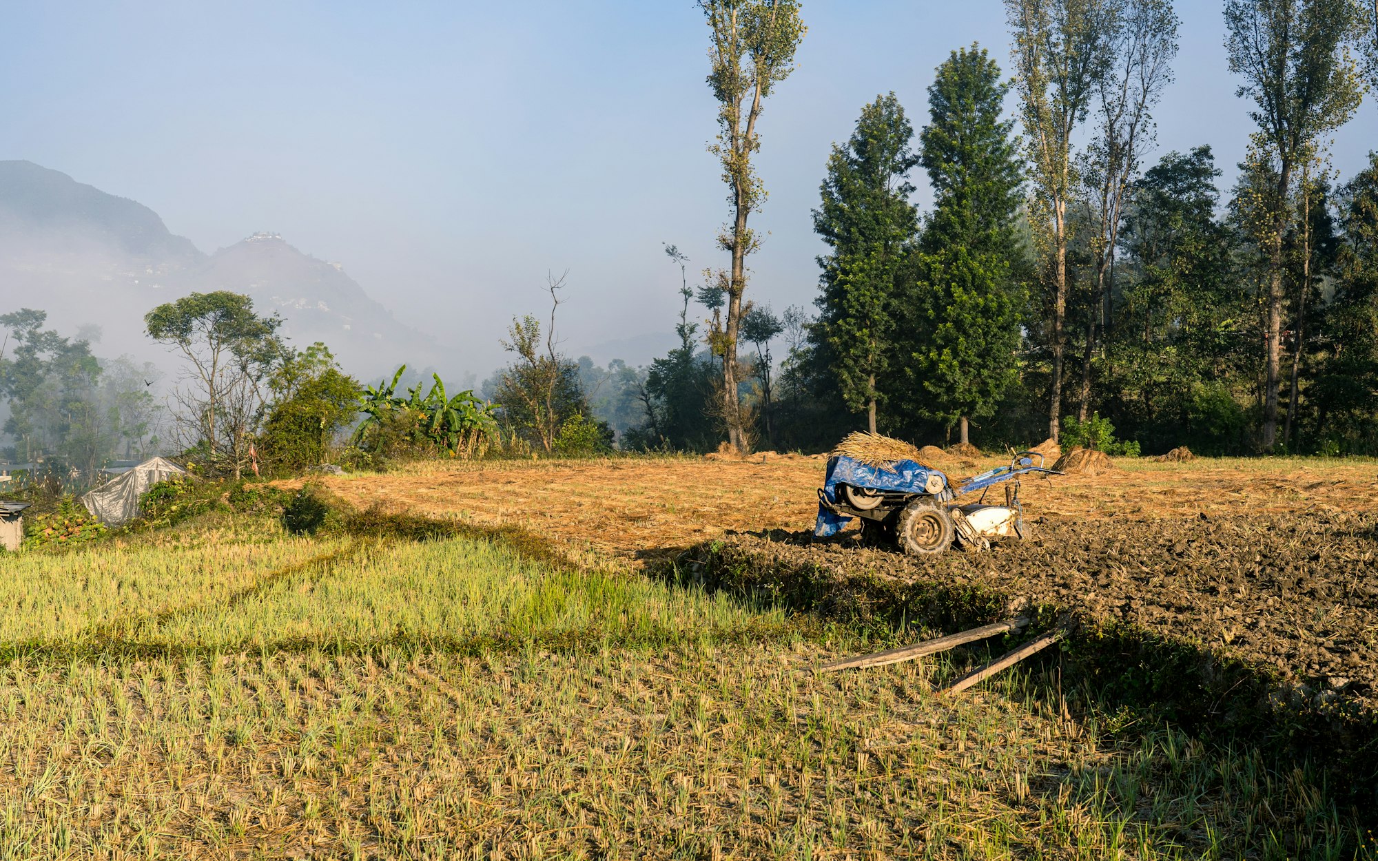 Agriculture in Liberia: Challenges And Innovations for Sustainable ...