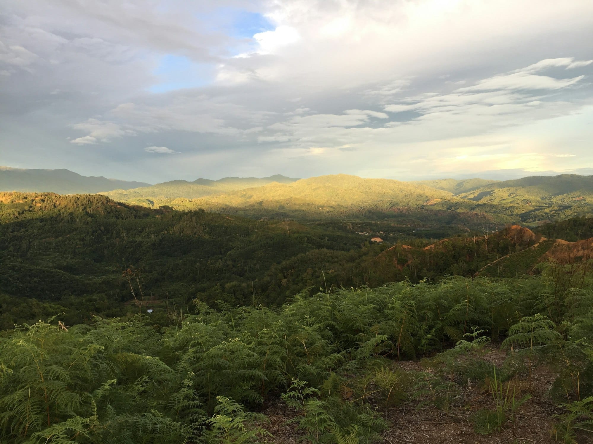 Understanding Rwanda'S Climate Patterns: A Guide for Travelers And ...