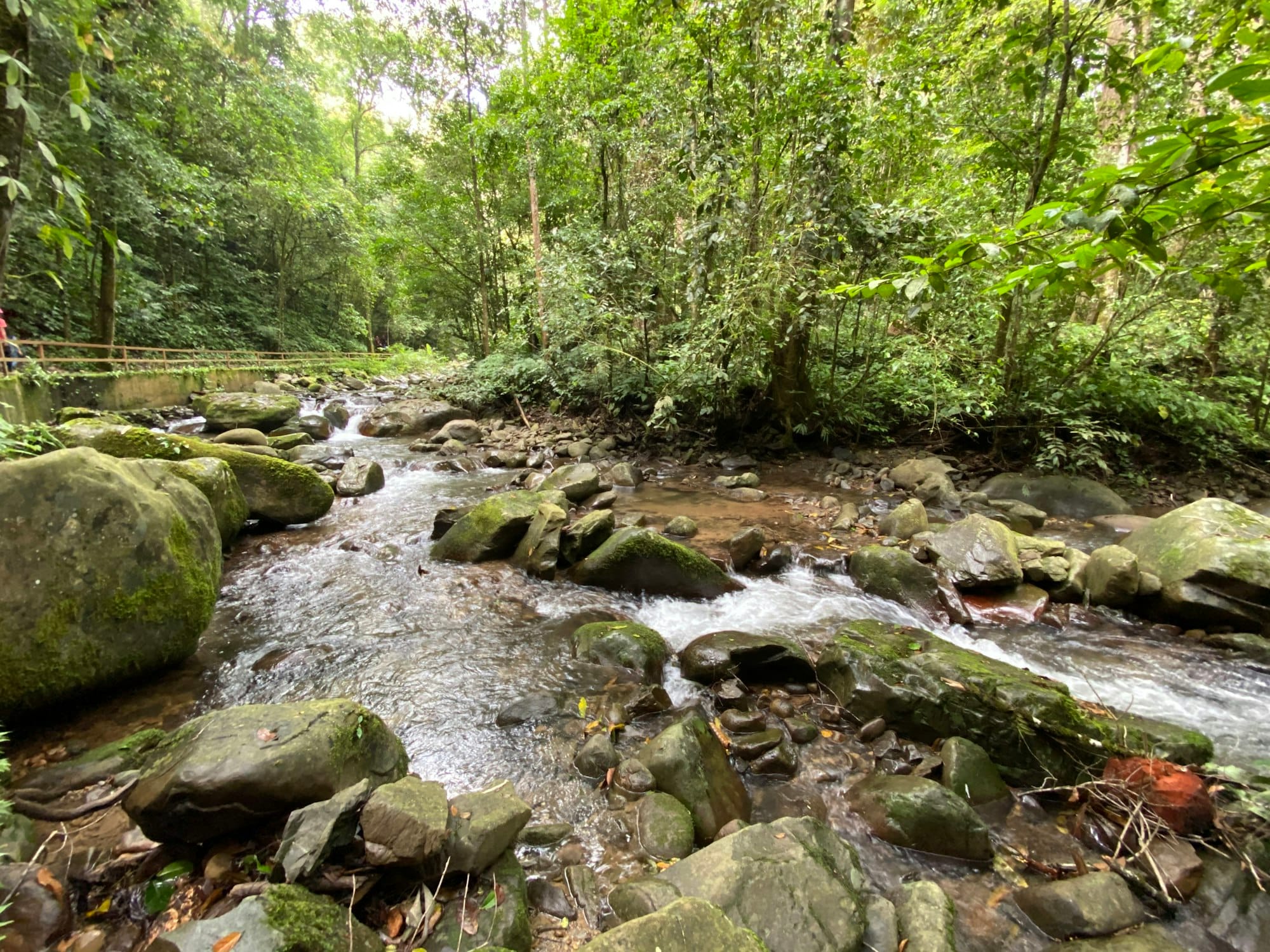 Understanding Gabon'S Climate Patterns: A Guide for Travelers And ...