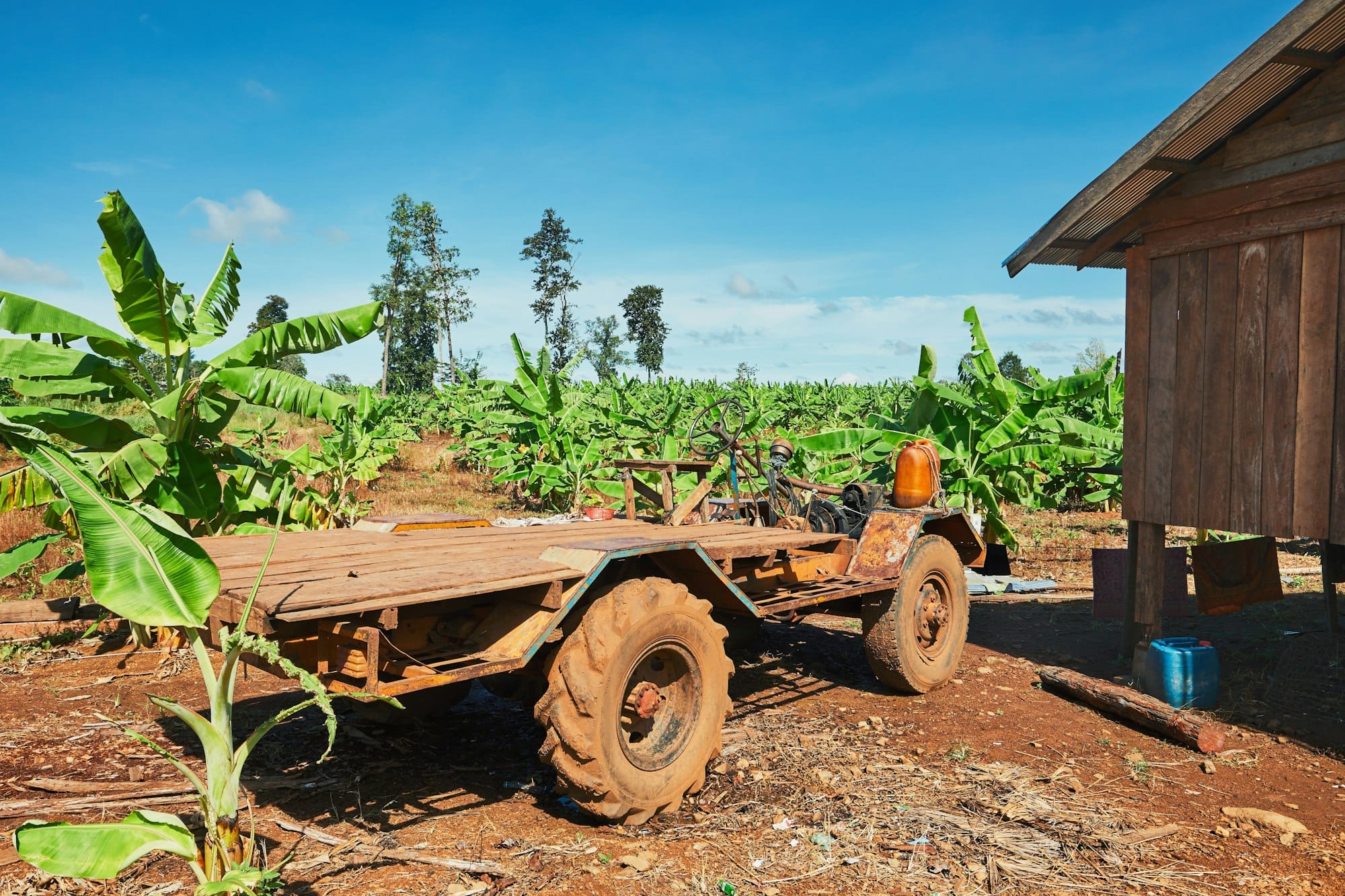 Agriculture in Gabon: Challenges And Innovations for Sustainable Growth ...