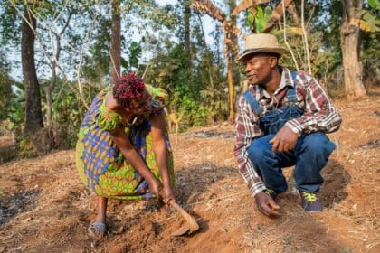 Agriculture in Chad: Overcoming Challenges for Sustainable Development ...