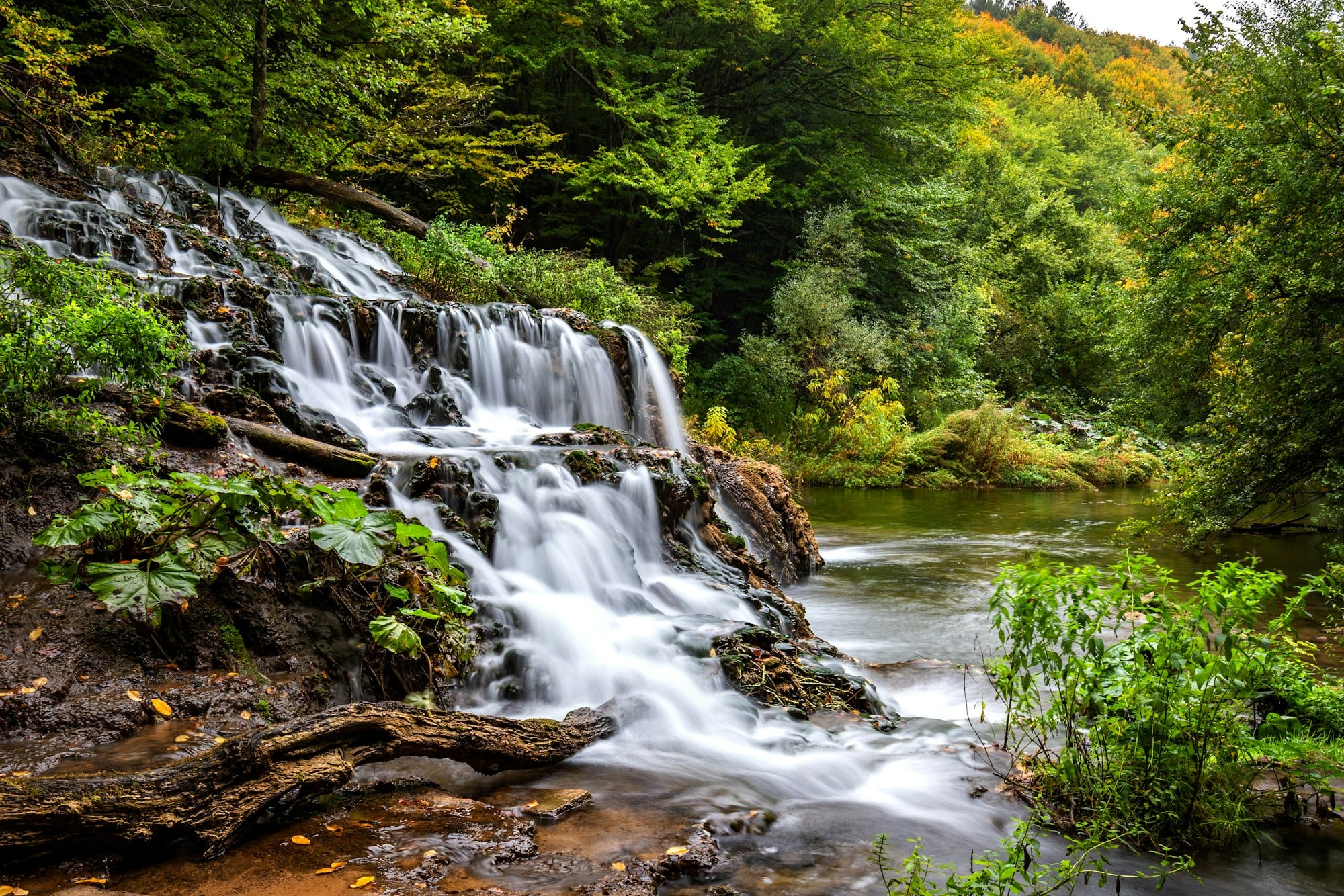 Exploring Guinea'S Natural Beauty: Waterfalls, Mountains, And Wildlife ...