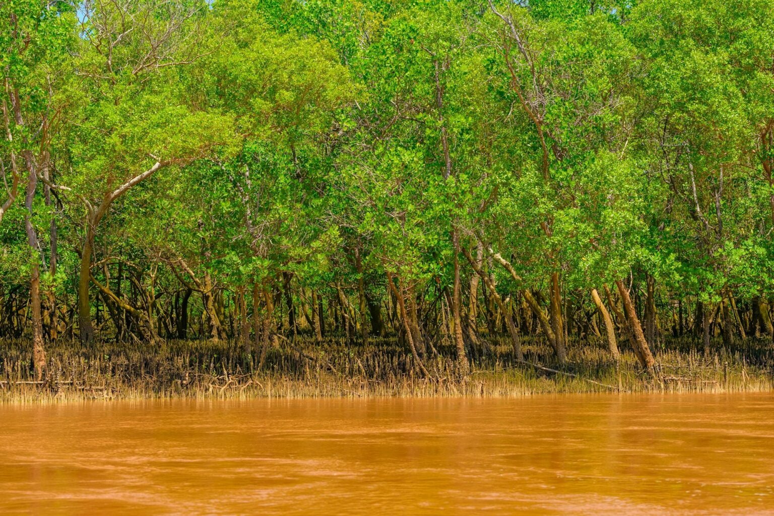 Discover the Fascinating Terrain and Climate Zones of Angola - Afro ...