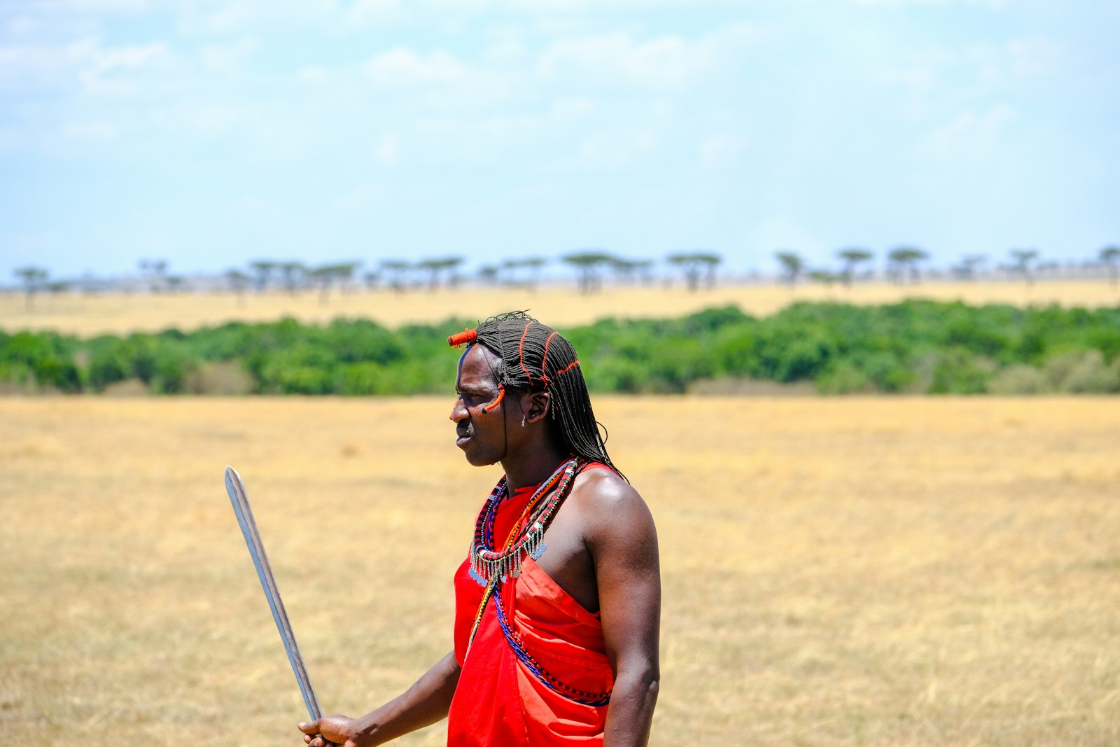 Exploring Chad's Ethnolinguistic Diversity: Major Languages and ...