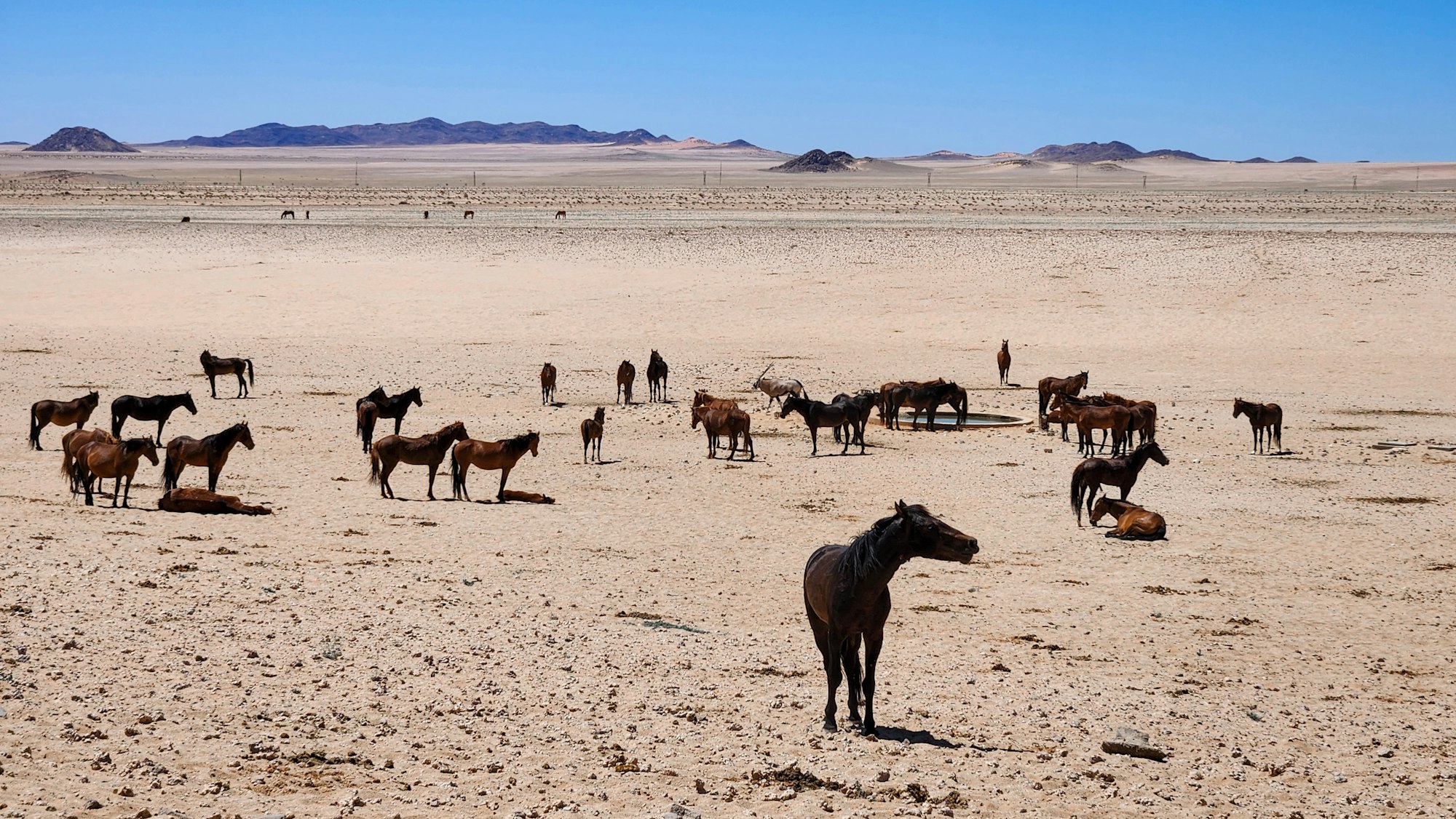 Understanding Namibia'S Climate Patterns: A Guide for Travelers And ...